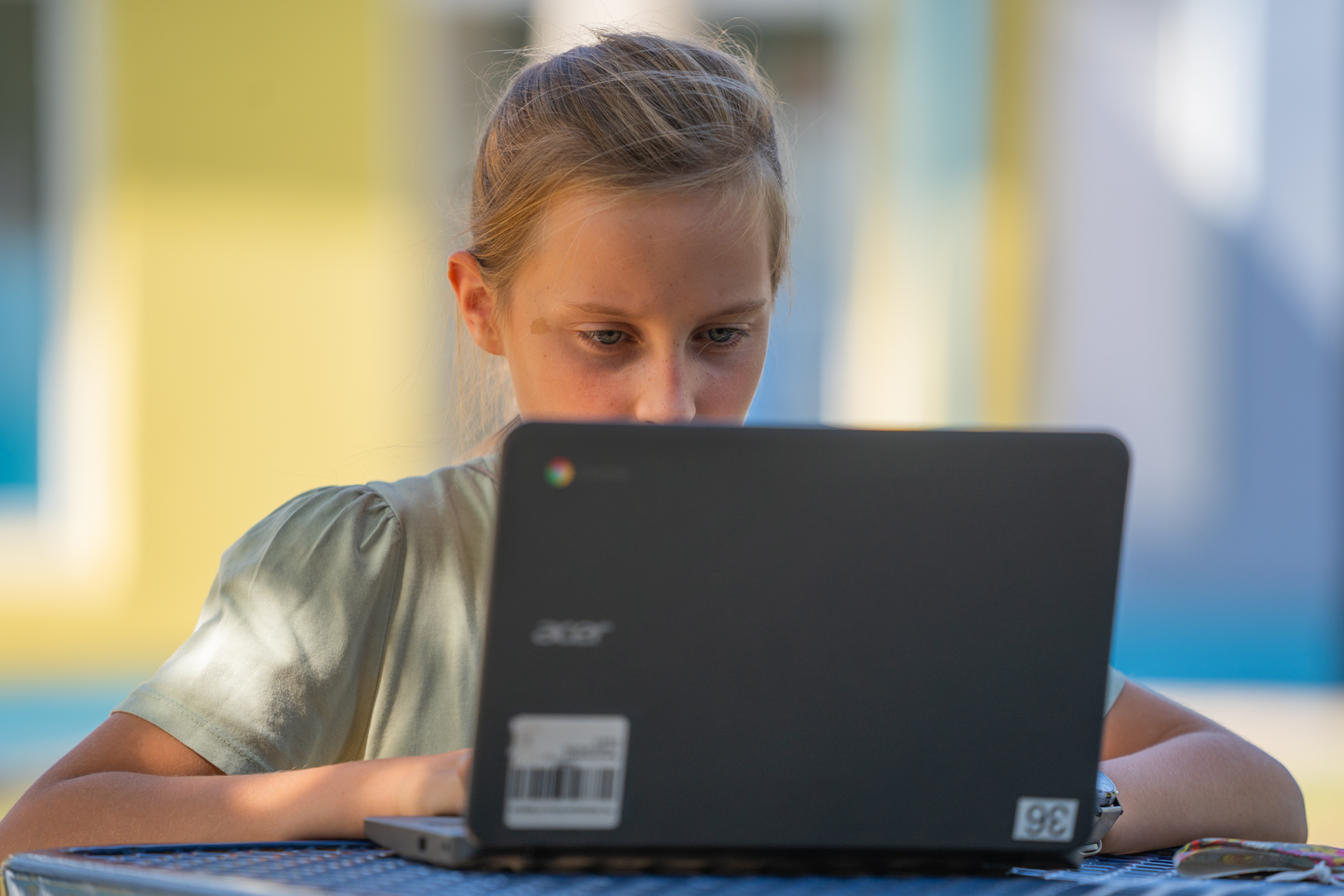 CEESA – Welcome to CEESA