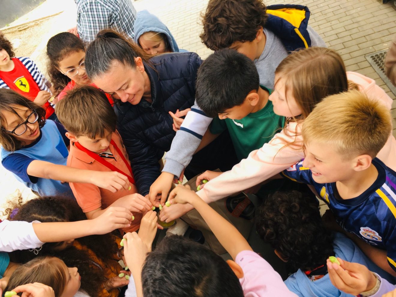 CEESA – Welcome to CEESA