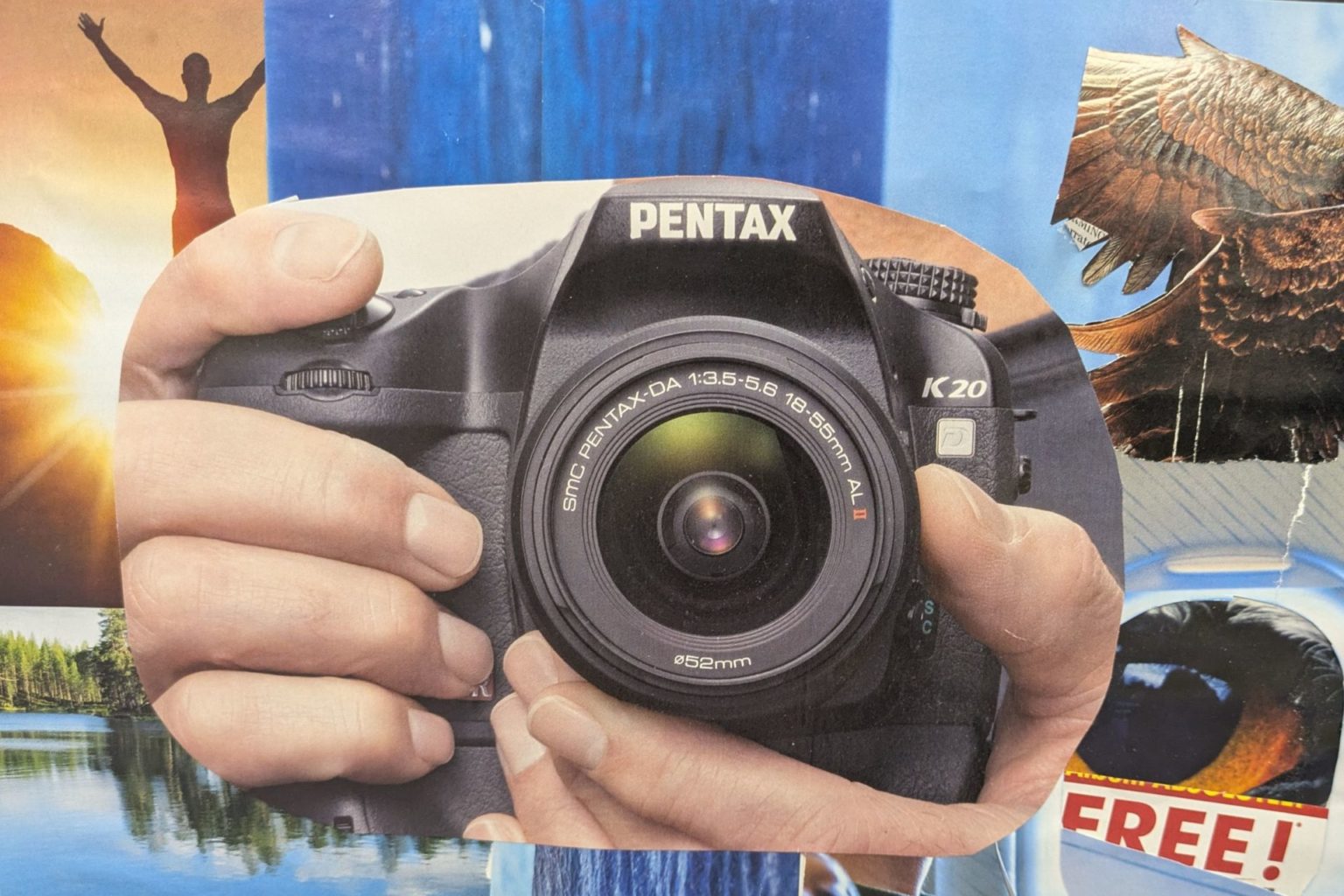 CEESA – Welcome to CEESA